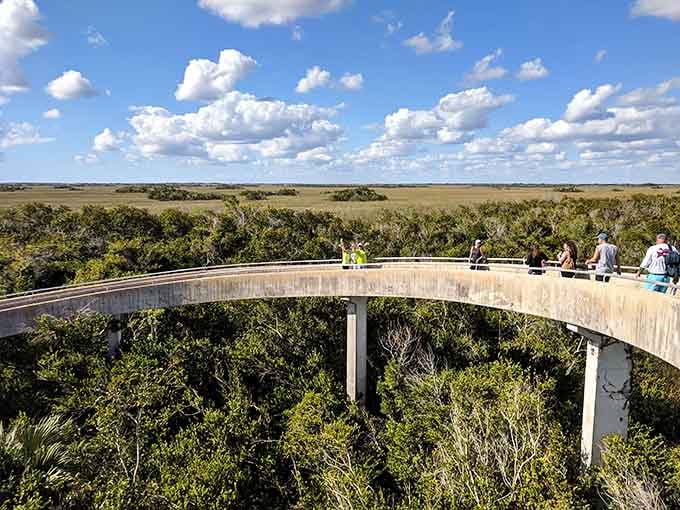That gentle spiral ramp means everyone gets to enjoy the view, no Stairmaster training required for this adventure.