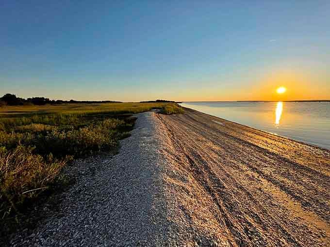 Golden hour transforms Sharktooth Beach into something magical, where prehistoric treasures meet modern-day sunset chasers.