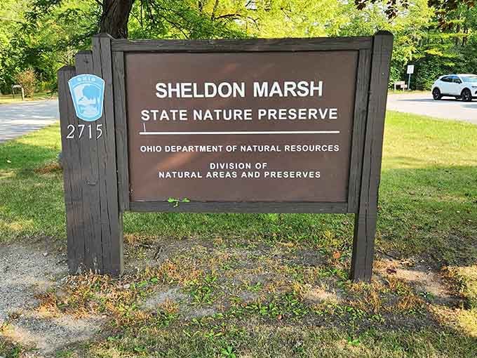 This unassuming sign marks the gateway to one of Lake Erie's best-kept secrets&mdash;no fanfare required.