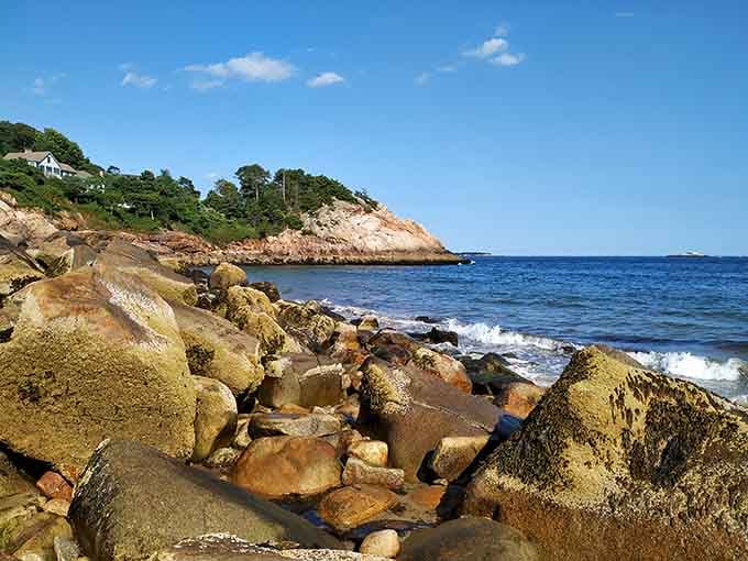 Nature's sculpture garden displays weathered boulders and tide pools teeming with small wonders worth exploring.