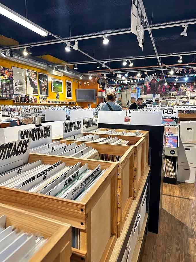 Rows of wooden bins stretching into the distance like a vinyl lover's version of paradise found.