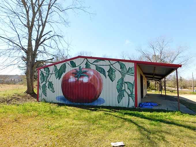This vibrant tomato mural proves Slocomb takes its produce seriously, one giant painted fruit at a time.