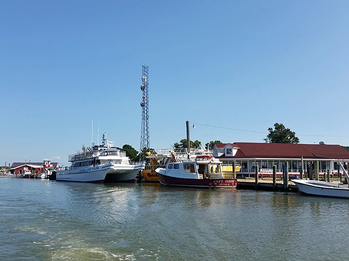The marina where your island adventure begins, and stress officially ends its shift for the day.
