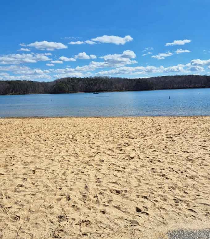 Those clouds look like they're auditioning for a postcard, and honestly, they've got the part.