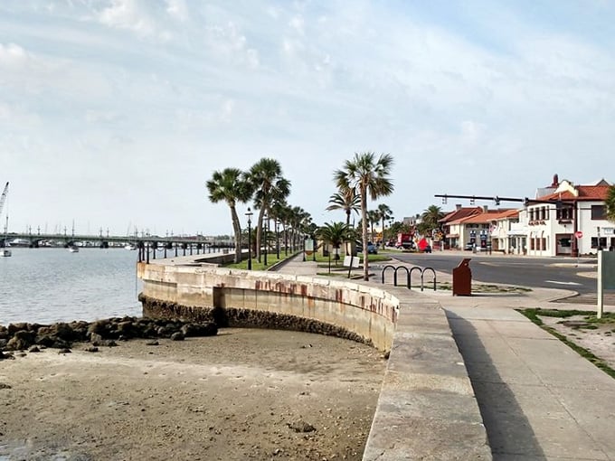 Palm-lined waterfront paths where you can stroll like a Spanish explorer, minus the scurvy and questionable navigation skills.