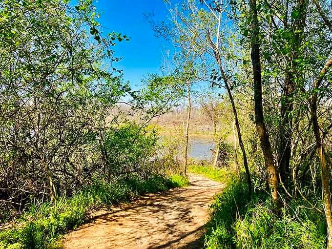 This trail winds through the woods like it's got all day, which is exactly the pace you need.