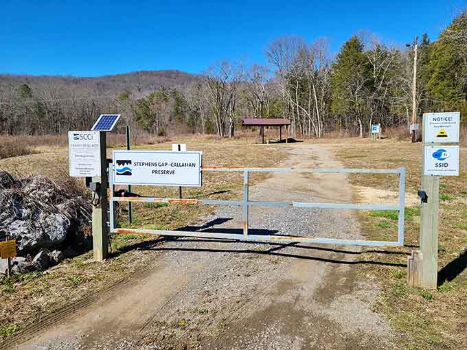 The gateway to adventure looks deceptively calm, like your dentist's waiting room before the real fun begins.