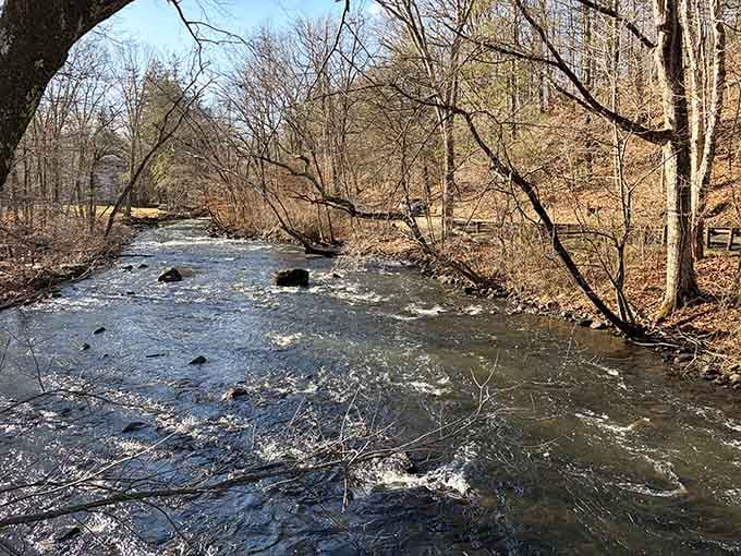 When water moves with this kind of purpose, you know you've found something special worth protecting.