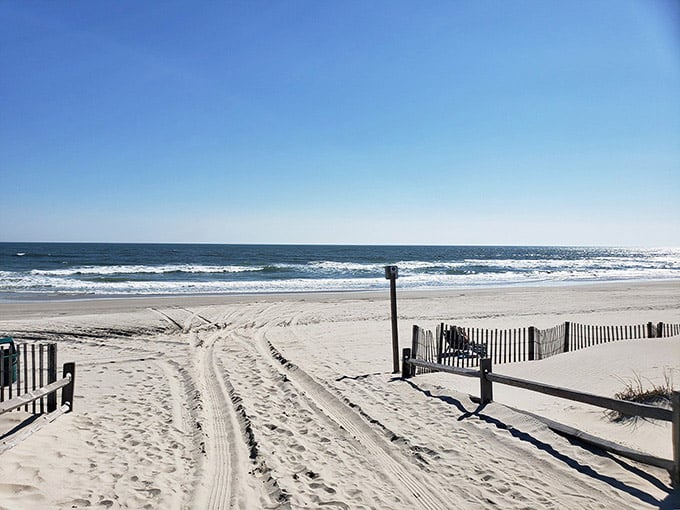 Every great adventure starts with a sandy path that promises something extraordinary at the end.