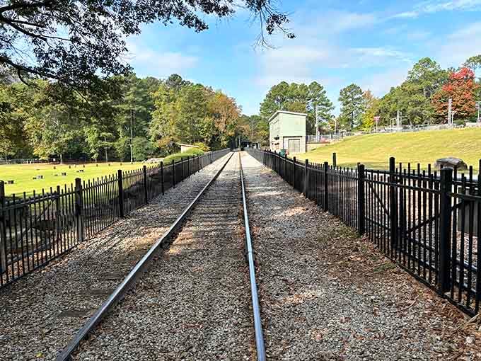 The journey begins here, where steel rails promise adventure and those black fences keep everyone safely aboard.