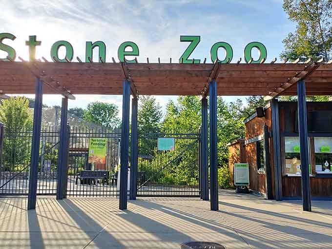 That welcoming entrance promises adventure, and those bold green letters deliver on every single syllable of it.