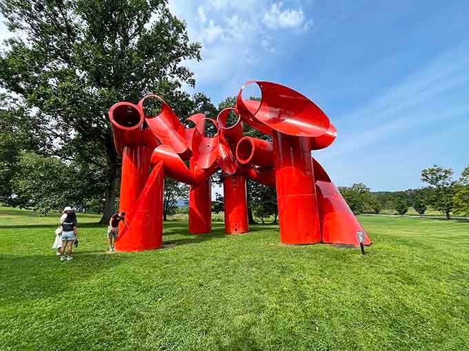 This crimson beauty looks like industrial art decided to throw a party on the lawn.