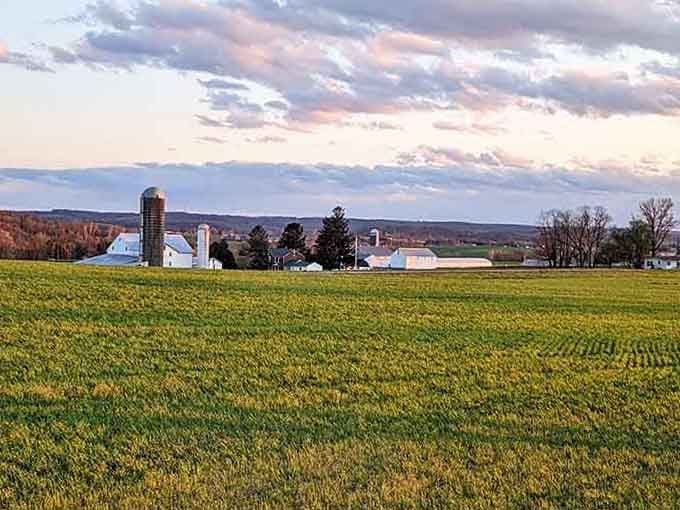 Fields so perfectly green, you'd swear someone's been out here with a paint roller every morning.
