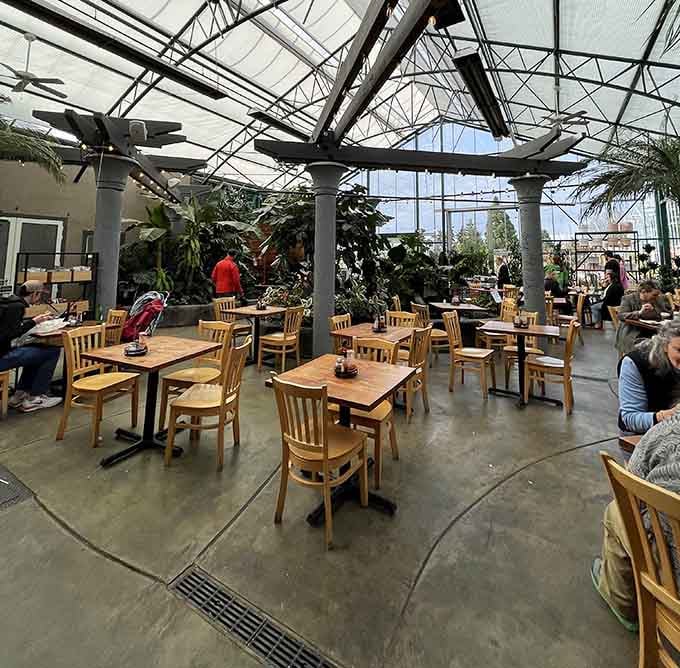 Dining among the ferns has never looked so inviting, with natural light pouring through glass overhead like nature's spotlight.