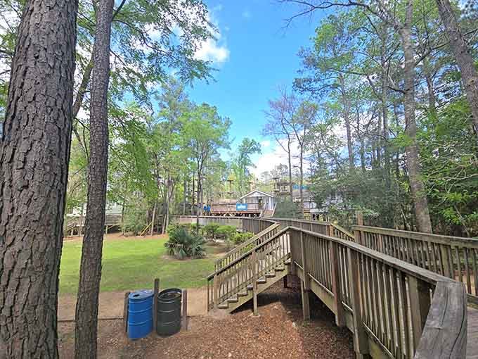 The peaceful forest setting belies the heart-pumping excitement waiting among those towering pines and sturdy platforms.