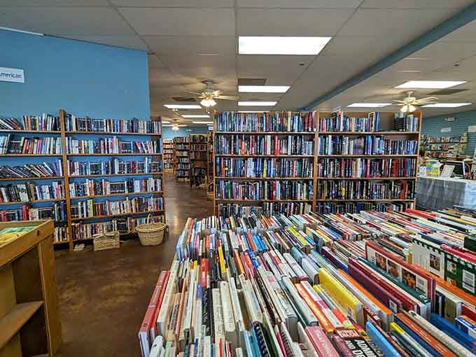 Rows of shelves stretch toward the horizon like a bibliophile's version of the yellow brick road.