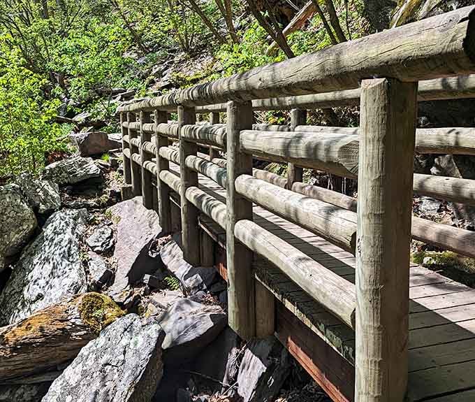 The sturdy wooden boardwalk guides you safely through the forest, building anticipation for what's ahead.