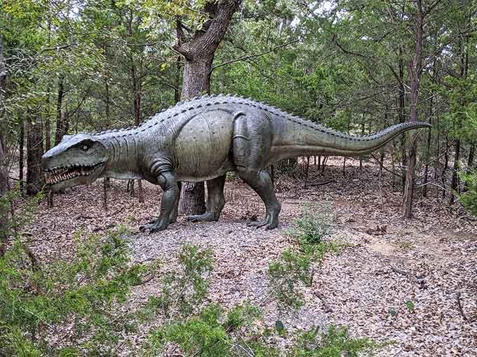 This armored predator looks ready to defend its territory among the Texas oaks and underbrush.