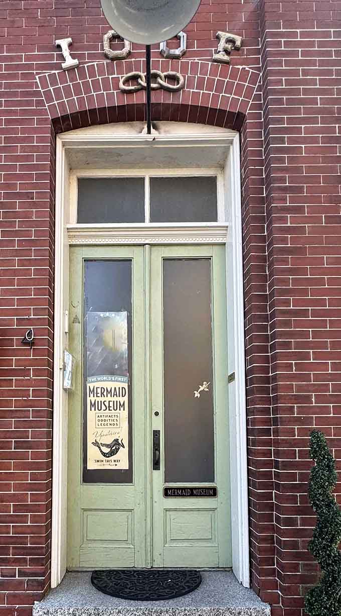 When a door promises mermaids, artifacts, oddities, and legends, you know you're about to enter somewhere wonderfully weird.