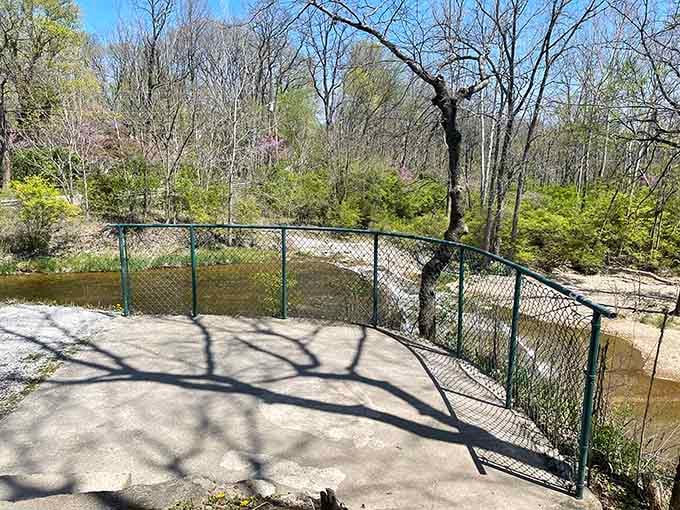 The perfect vantage point where you can safely admire the falls without risking a tumble.