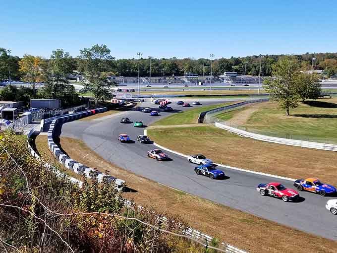 Nothing says "retirement goals" quite like watching cars race around a track without worrying about your own insurance premiums.