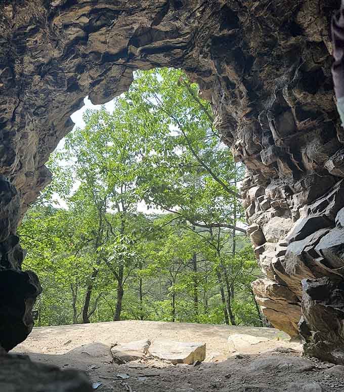Looking out from inside the cave, you'll see the forest framed like a living painting through ancient stone.