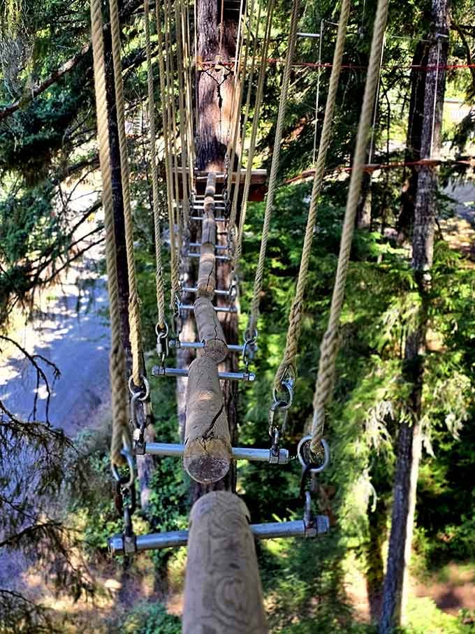 This log bridge stretches into the canopy like nature's own tightrope, testing your balance and your commitment to adventure.