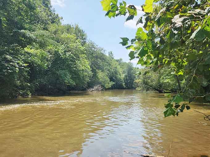 The Tyger River flows with that rich amber color that tells you catfish are lurking below.