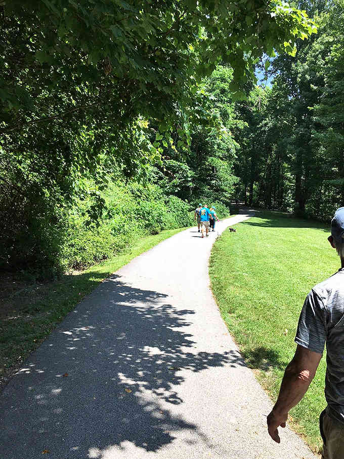 The paved path through dappled sunlight makes this spectacular waterfall accessible to almost everyone who visits.