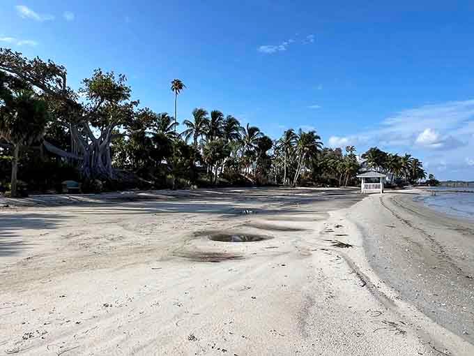 Shell-covered beaches stretch along shores so peaceful, you'll forget what traffic jams even sound like back on the mainland.