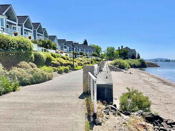 The waterfront trail offers river views so stunning, you'll forget you're getting exercise while pretending it's just a casual stroll.
