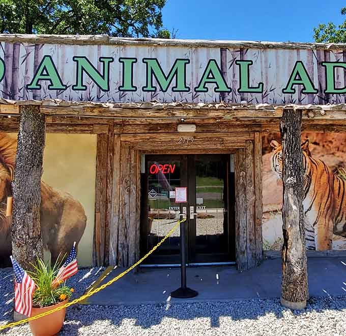 The rustic charm starts right at the door, where natural wood meets colorful wildlife art in perfect harmony.