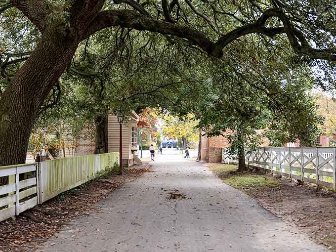 Tree-lined paths like this prove the Founding Fathers knew a thing or two about creating Instagram-worthy walkways.