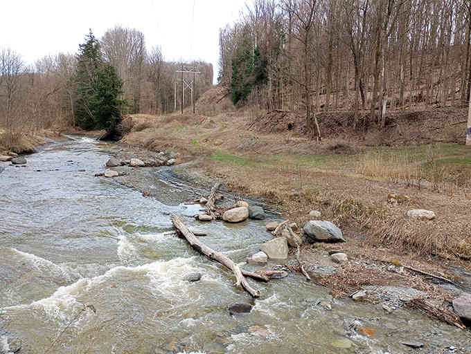 Four Mile Creek meanders through like it's got all the time in the world, which honestly sounds pretty nice.