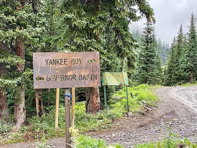 This weathered sign marks your gateway to alpine paradise, where nature's best work awaits discovery.