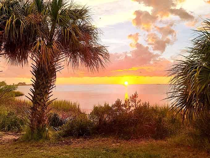 When the sky decides to show off, palm trees frame the performance like nature's own proscenium arch.