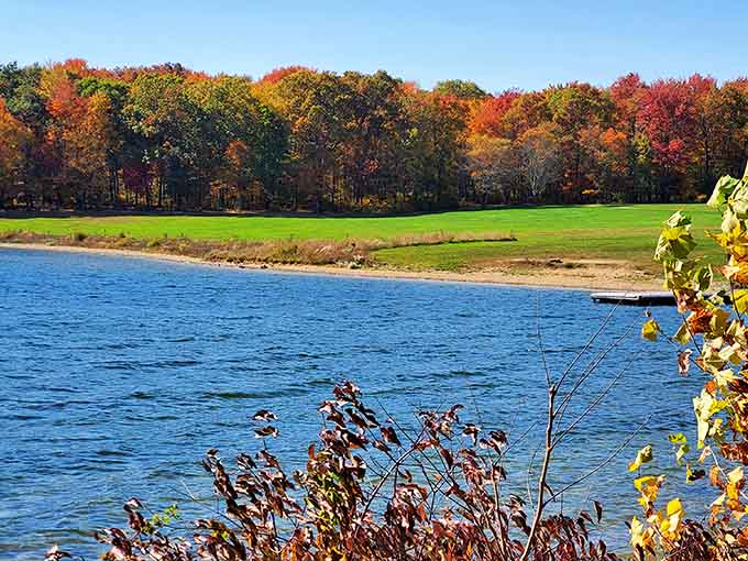 When fall foliage meets lakeside tranquility, you get this postcard-perfect scene that'll make your neighbors jealous.