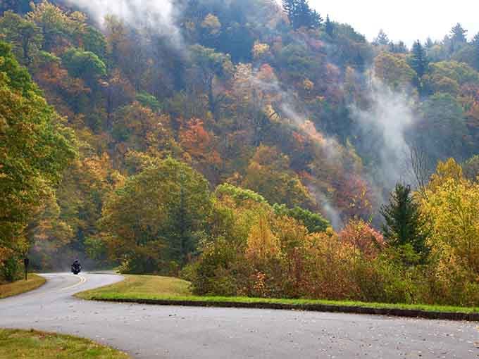 Autumn fog drifts through mountain curves like a gentle reminder to slow down and breathe.