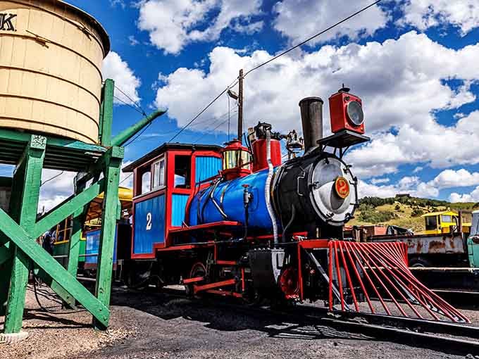 This cheerful blue and red locomotive looks like it escaped from a child's toy box, complete with that classic cowcatcher.