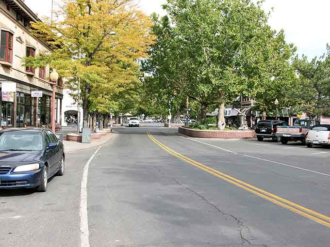 Golden autumn trees line Grand Junction's streets, creating a canopy that turns every drive into a scenic moment.