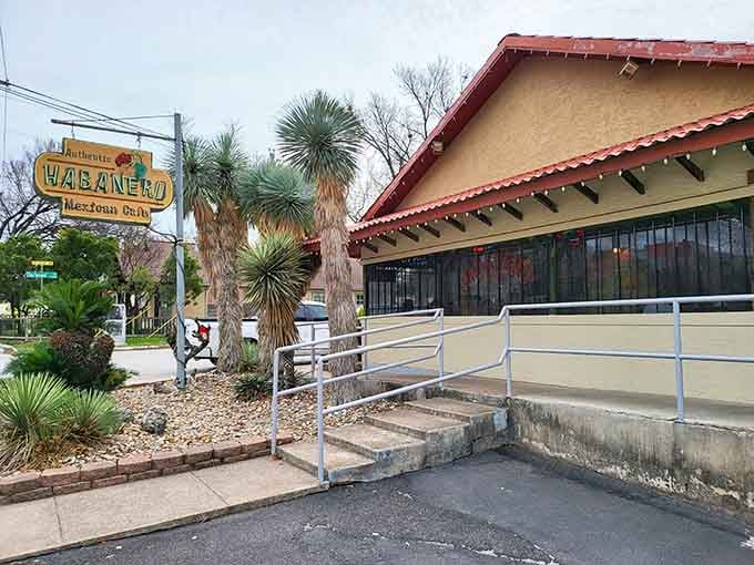 Palm trees and a vintage sign create that perfect Austin vibe where Mexican food meets neighborhood charm.
