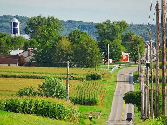 Those rolling hills and cornfields stretching toward the horizon make every drive feel like a postcard come to life.