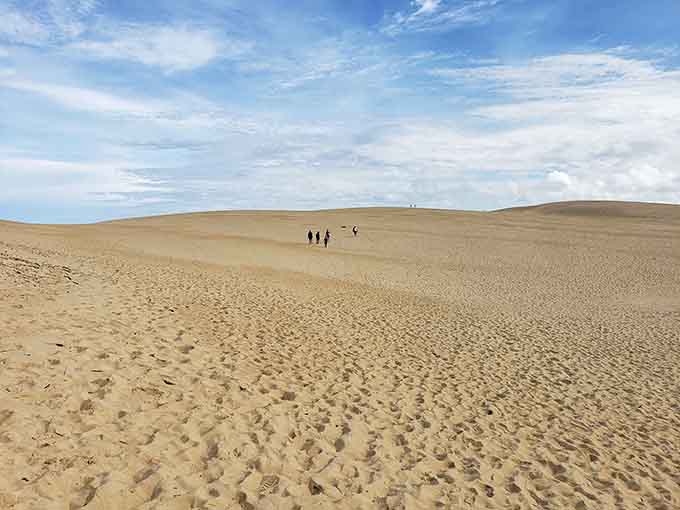 When the beach decides to cosplay as the Sahara, you get these magnificent dunes stretching toward forever.