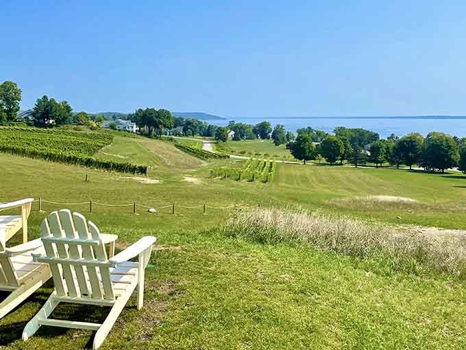White chairs, blue water, rolling vines&mdash;someone designed this view specifically to make you forget your worries completely.