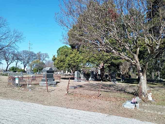 The simple fence frames a peaceful scene where bare winter trees stand watch over generations of memories.