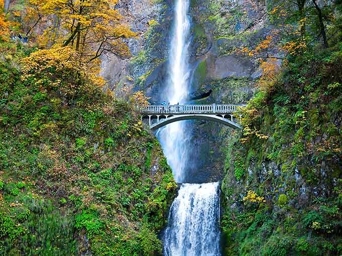Multnomah Falls cascades 620 feet with autumn colors framing the iconic bridge like nature's own postcard.