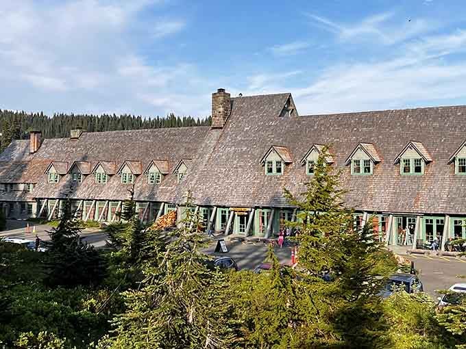 Paradise Inn's massive timber frame architecture looks like something from a National Geographic cover, only better in person.