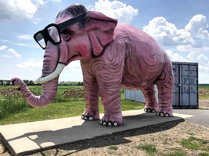 This bubble-gum pink pachyderm sporting sunglasses proves that roadside attractions have a wonderful sense of humor.