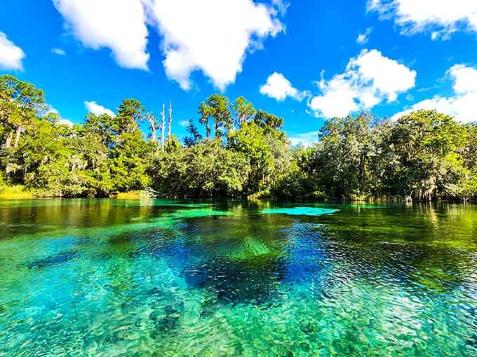 Rainbow Springs lives up to its name with water so clear it looks like liquid gemstones.