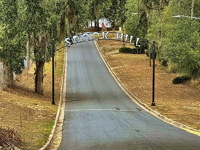 This gentle hill looks innocent enough, but your car will roll backward uphill like it's auditioning for The Twilight Zone.